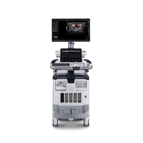 Ge Logiq E10 Ultrasound - Indoelectronic